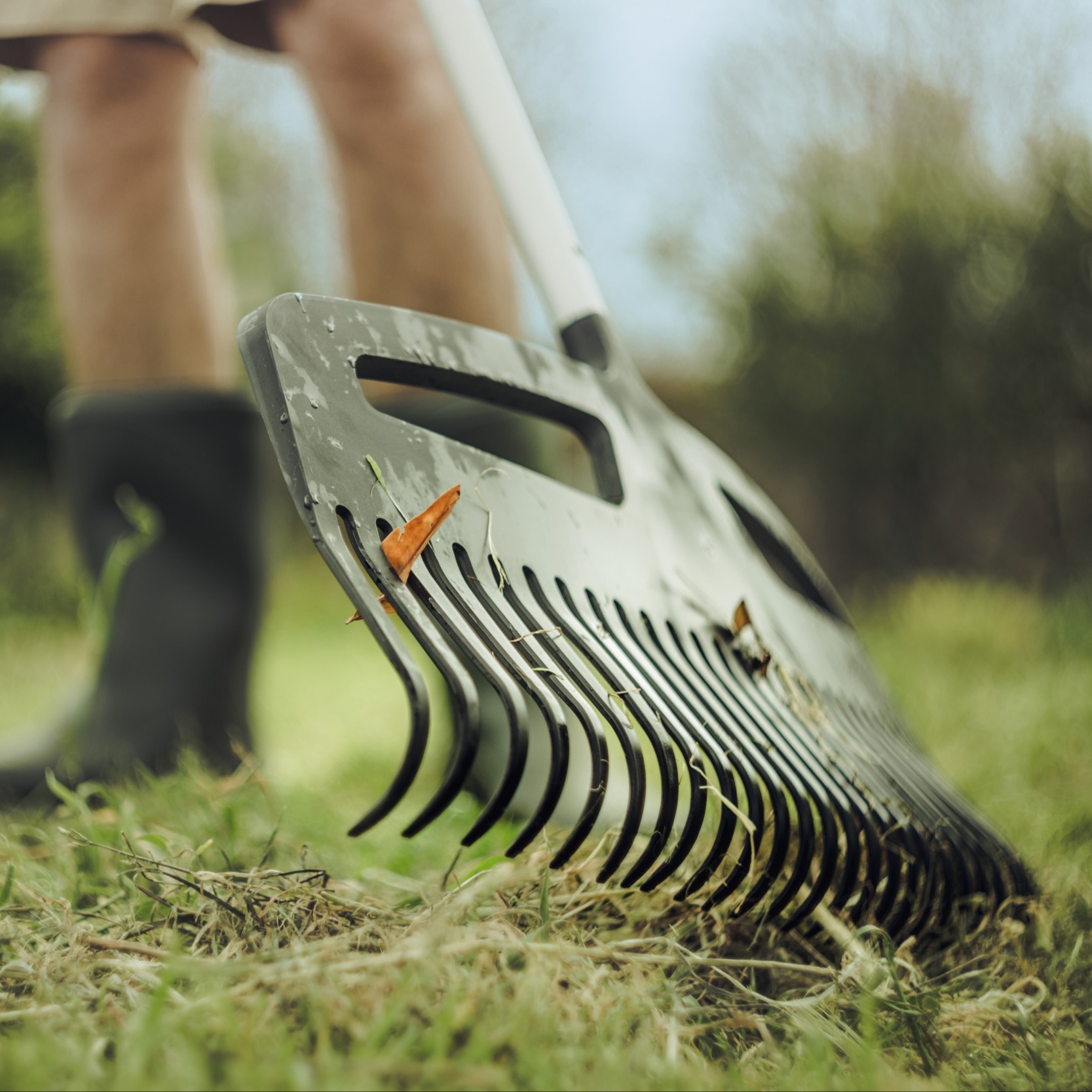 FISKARS Xact Lawn Rake čierne - hrable na trávu | Finesio.sk